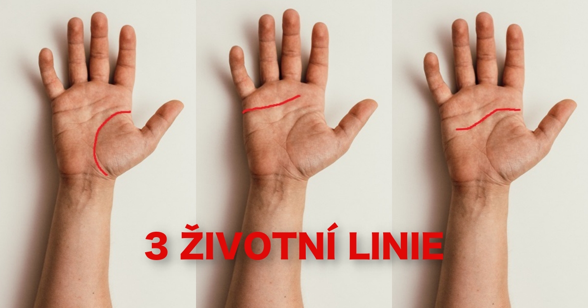 Andělská linie na dlani, ne každý ji má | Světkreativity