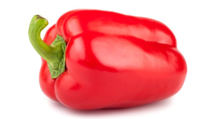Různá barva paprik značí jejich odlišné chutě | Světkreativity