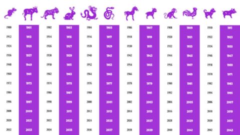 Vaše čínské znamení o osobnosti prozradí více, než můžete tušit