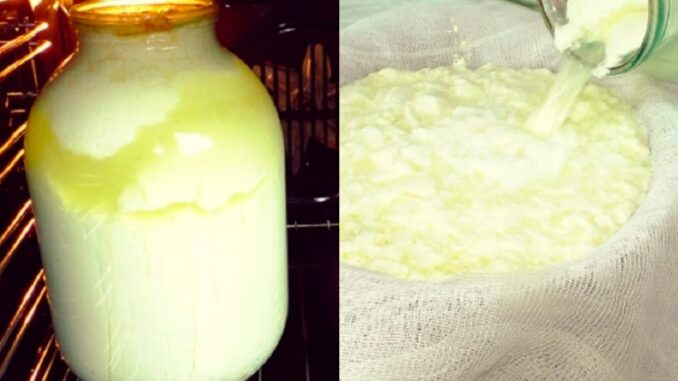 Takto jednoduše si doma můžete vyrobit domácí tvaroh v troubě