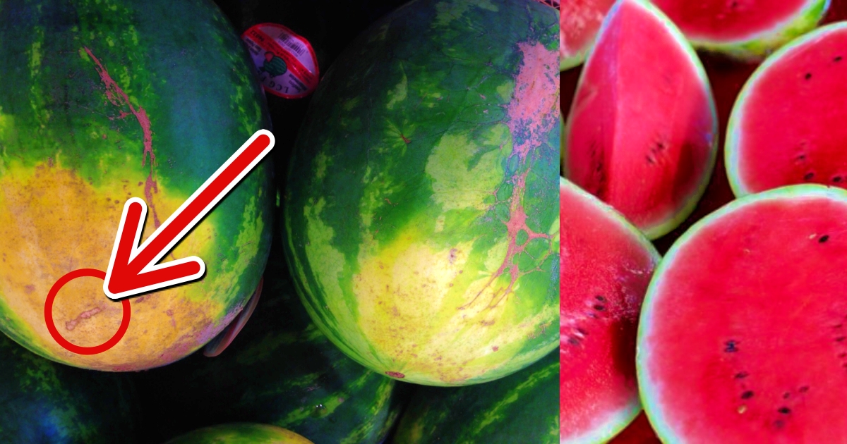 Sezóna melounů je v plném proudu. Jak správně vybrat ten pravý, abyste ...