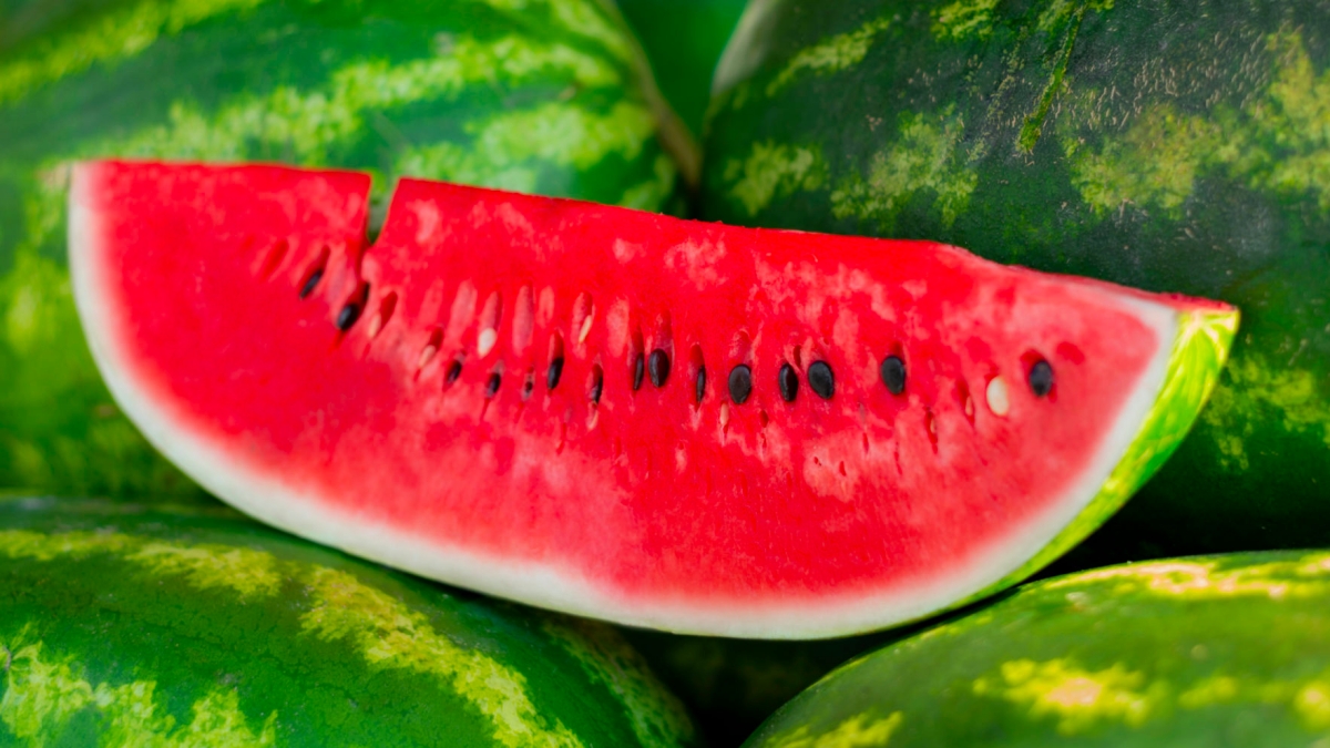 Nejsladší meloun poznáte podle těchto znaků | Světkreativity