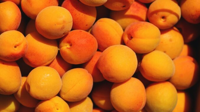 Meruňkový kompot bez potřeby sterilizace | Světkreativity