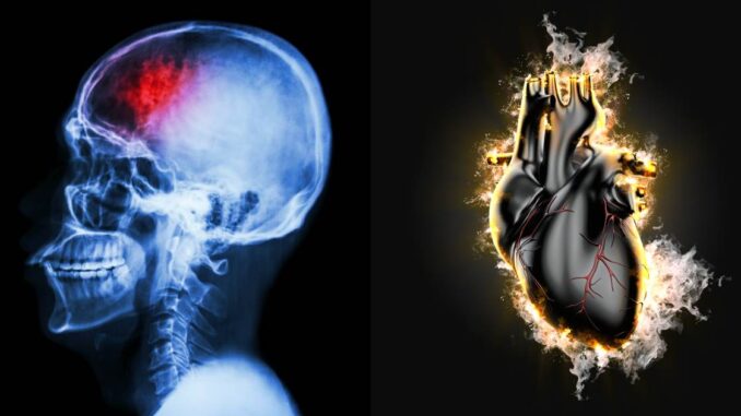 Pokud to víte, můžete zachránit životy: Tohle si musí přečíst každý