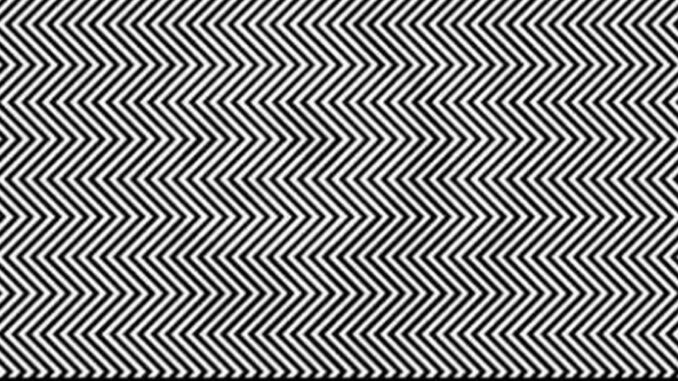 Otestujte funkčnost svého zraku touto optickou iluzí: Najděte skryté zvíře