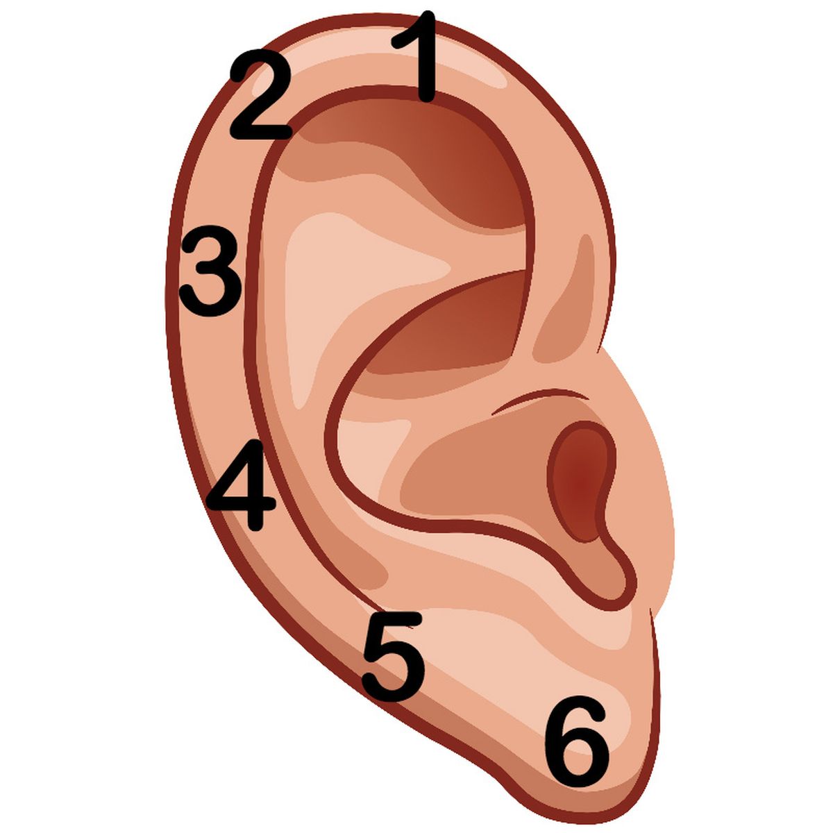 ucho-body - Světkreativity