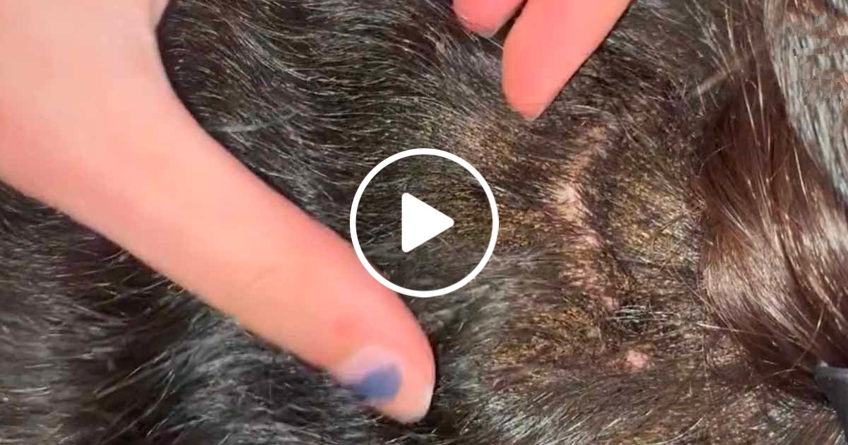 Kadeřnice rozhrnula vlasy chlapečka a zhrozila se nechutností