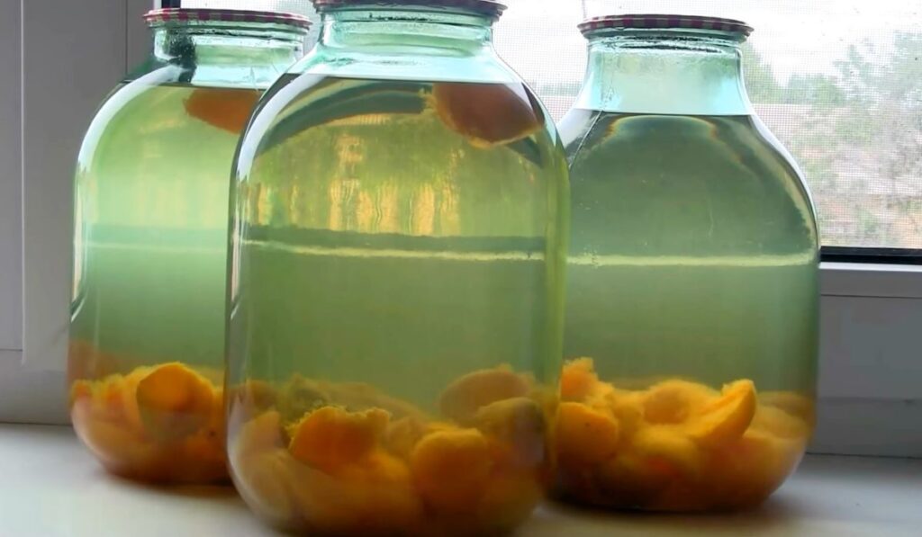 Meruňkový kompot bez potřeby sterilizace | Světkreativity